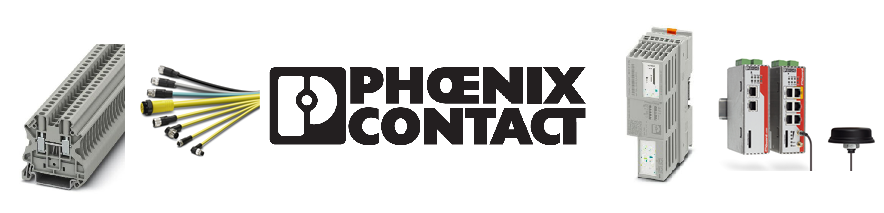 Networking Services by Phoenix